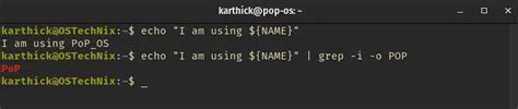 Image result for Linux Terminal Echo