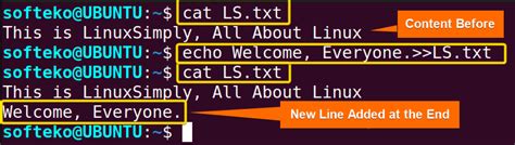 Image result for Linux Terminal Echo