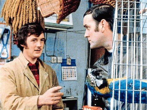 Image result for Monty Python Parrot