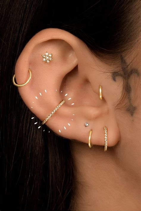 Image result for Conch Piercing