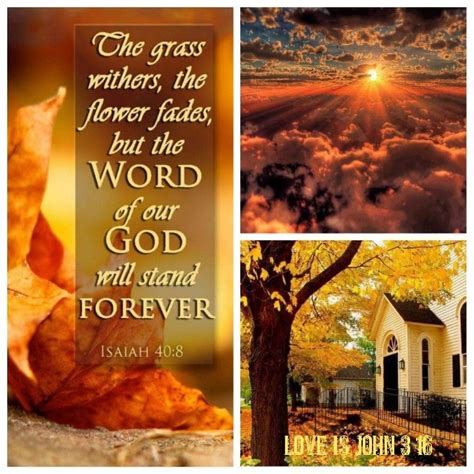 Image result for Fall Leaves with Scripture