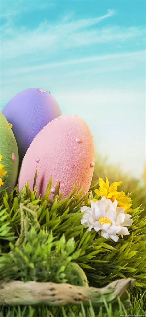 Image result for Happy Easter Hello Spring