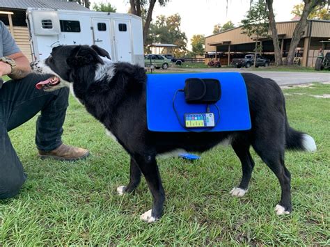 Image result for How to Use the Magic Mat