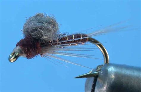 Image result for Floating Nymph Fly Pattern