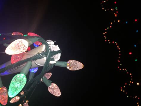 Image result for Mega Tree DIY