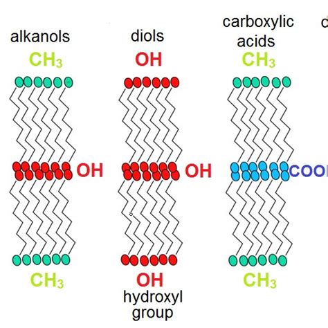 Image result for Molecular Structure Types