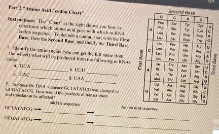 Image result for Amino Acid Codon Chart Tutorial
