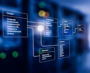 Image result for Referential Integreity Visual