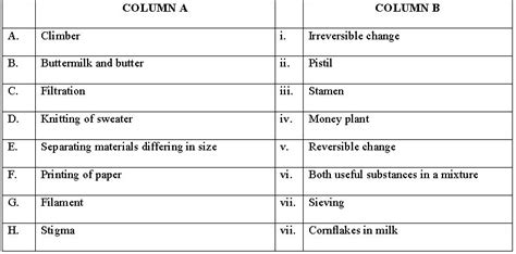 Image result for Class 6 Revision Papers Science