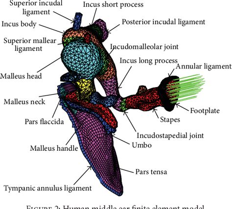 Image result for Incus On-Ear Model