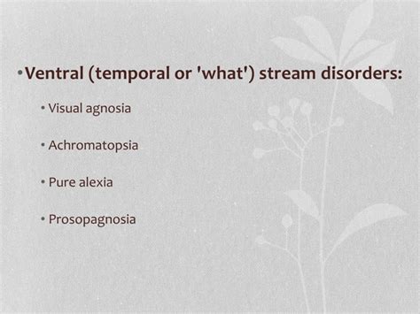 Image result for Visual Cortex Dysfunction