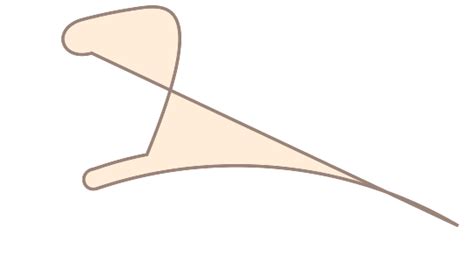 Smooth Endoplasmic Reticulum - BioDraws