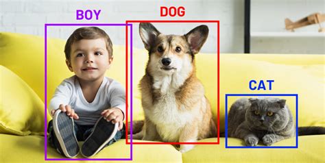 Image result for Deep Learning Image Net