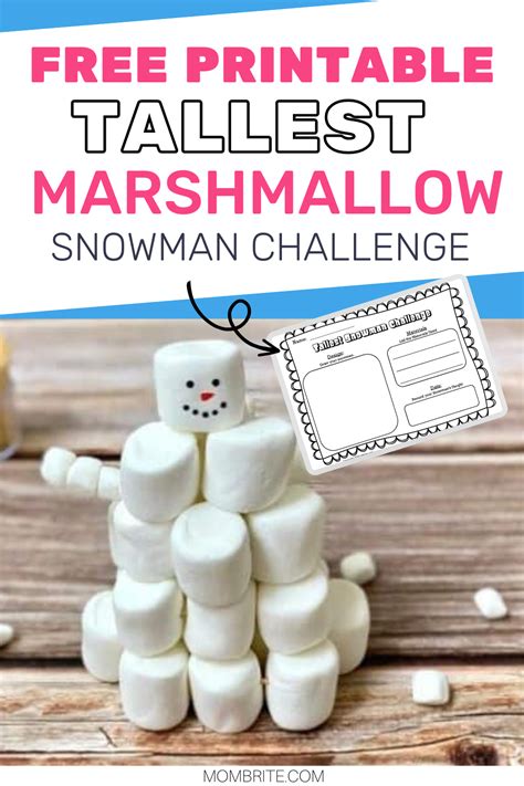 Image result for Snowman Building Challenge