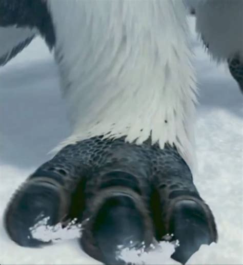 Image result for Dabble Foot