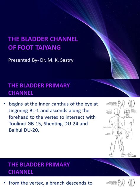 Image result for Bladder Channel TCM