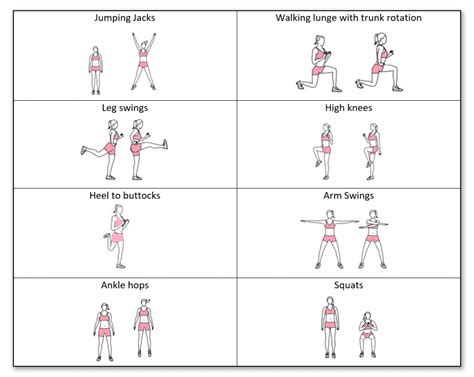 Image result for 2 Dynamic Exercises