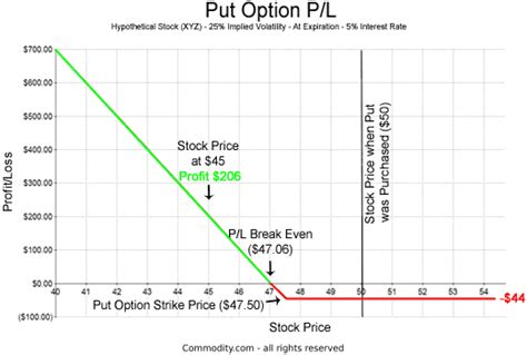 Image result for Buy Put Option Example
