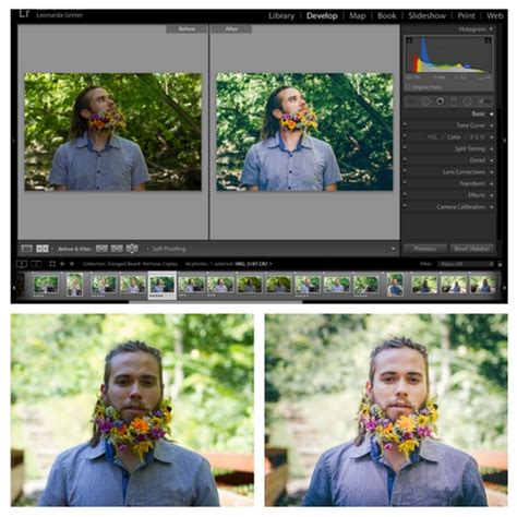 Image result for Light Work