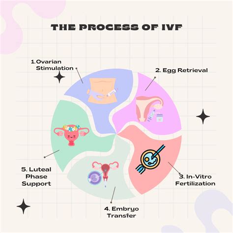 Image result for How Is IVF Done