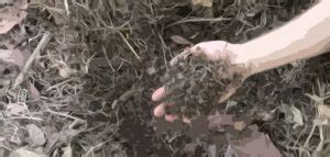 Image result for Simple Compost Pile