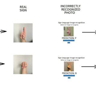 Image result for Insensitive to Sign Language