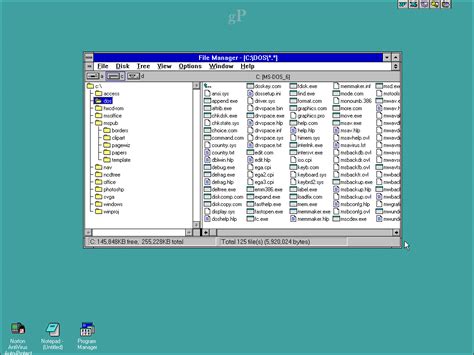 Image result for Windows 3.1 Nostalgia