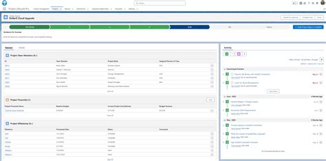 Image result for Salesforce Project Management