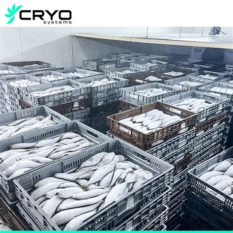 Image result for Lizard Trap Cold Storage