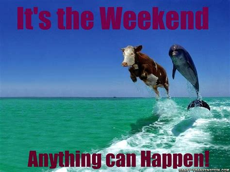 Image result for Weekend Fun Movie