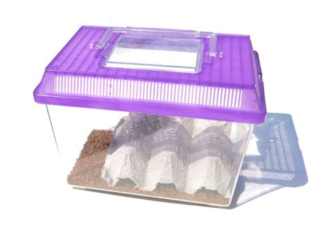 Cockroach Care Kit – Backyard Brains