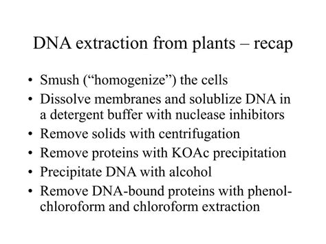 Image result for DNA Extraction Process On Plants