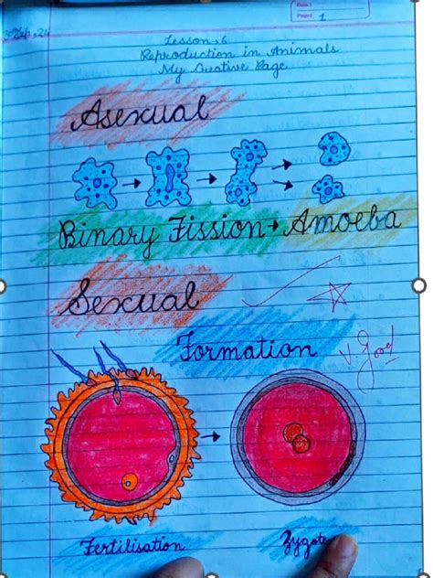 Image result for Reproduction in Animals Science Class 8 Worksheet