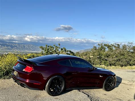 Image result for Fun License Plates