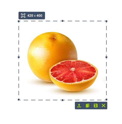 Image result for Free Print Screen Software