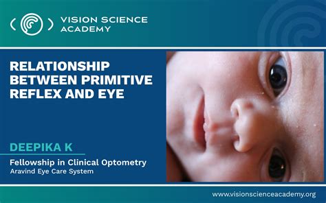 Image result for Primitive Reflex Visuals