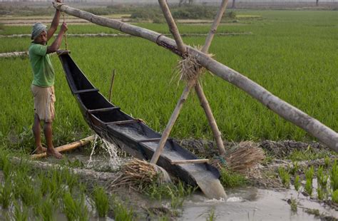 Image result for Traditional Methods of Irrigation Class 8