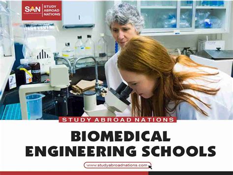Image result for Biomedical Engineering Schools