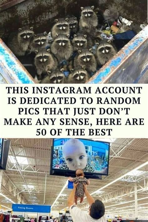 Image result for This Photo Cannot Be Explained