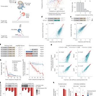 Image result for Prime Editing