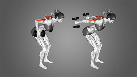 Image result for Tricep Kickbacks Form