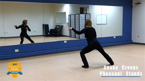 Image result for Yang Style Short Form Lesson 1 8