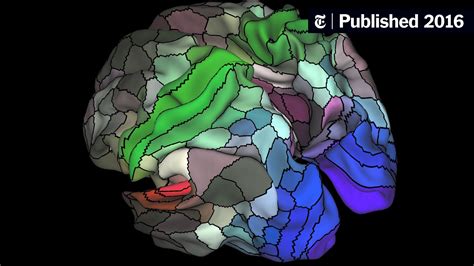 Image result for Brain Map