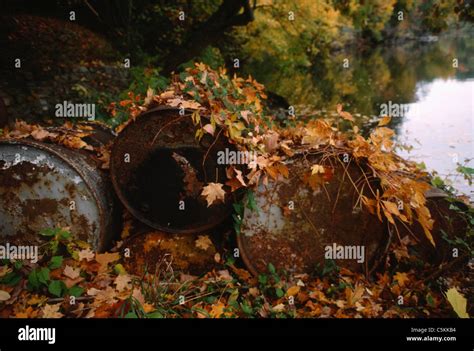 Image result for Types of Rust Barrels