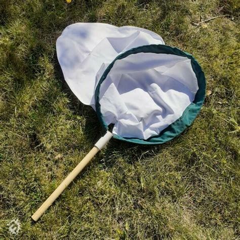 Image result for D Frame Sweep Net