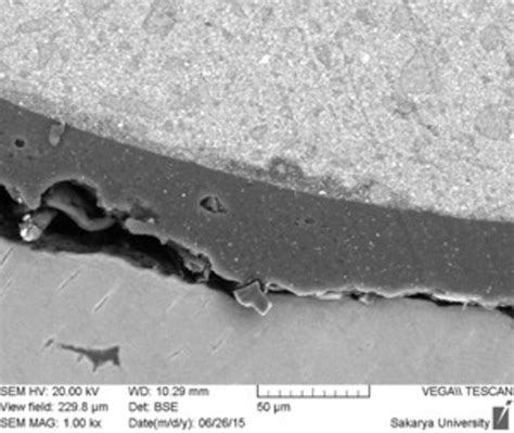 Image result for Scanning Electron Microscope Magnification