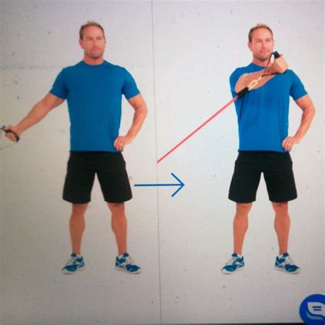 Image result for Standing Chest Fly Exercise