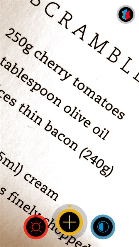 Image result for Video Magnifier