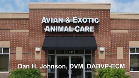 Image result for Rabbit Intubation