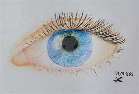 Image result for Eye Drawing Practice